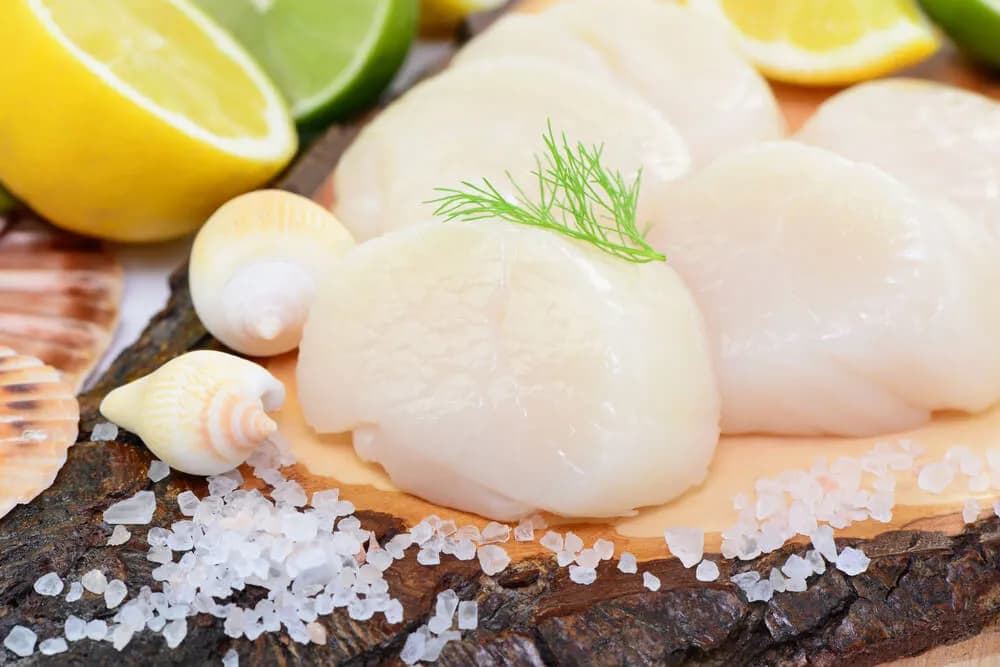 Sykes Seafood | Frozen Seafood & Fish